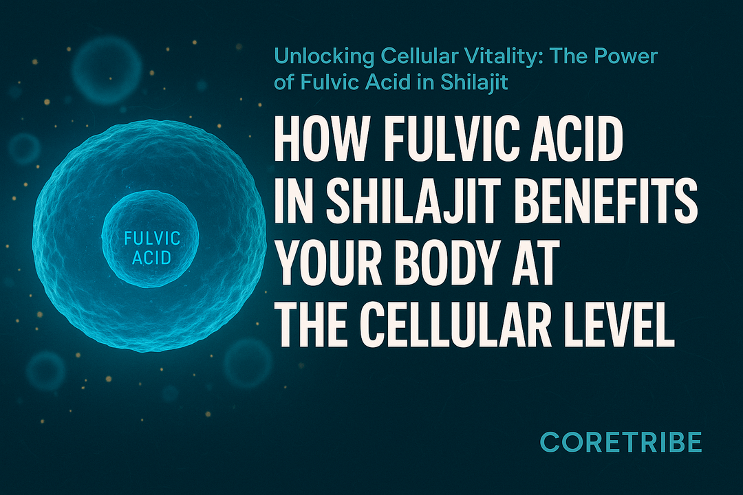 How Fulvic Acid in Shilajit Supports Cellular Health – Coretribe
